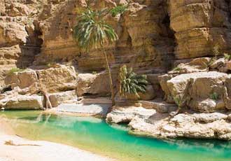 Dans la même catégorie